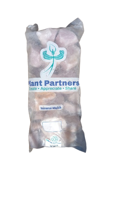Rose Quartz Stones – Gardenvale