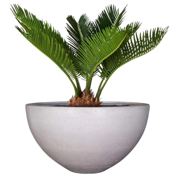 DELIA PLANT POT - On Order – Gardenvale