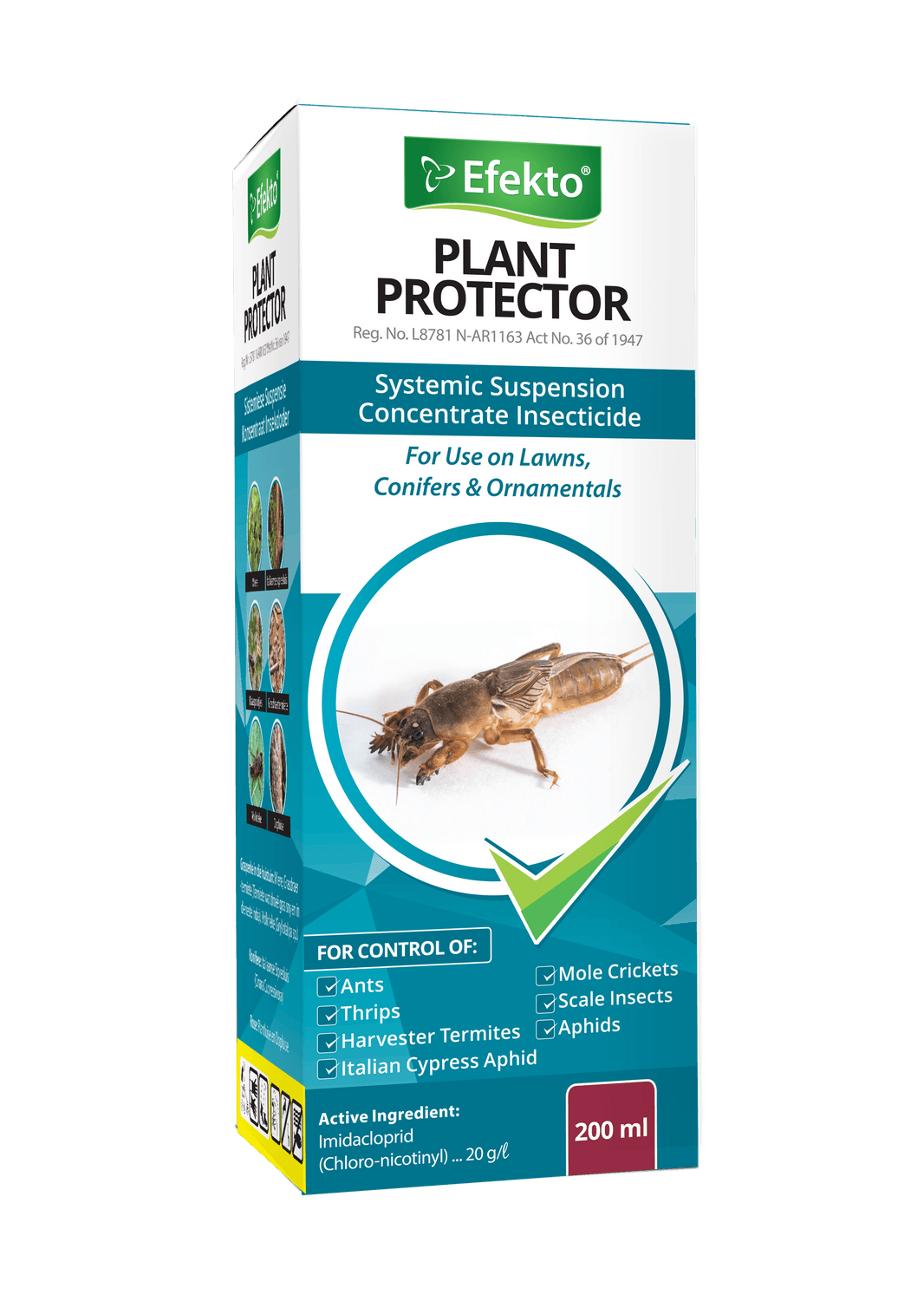 Pest Control – Gardenvale