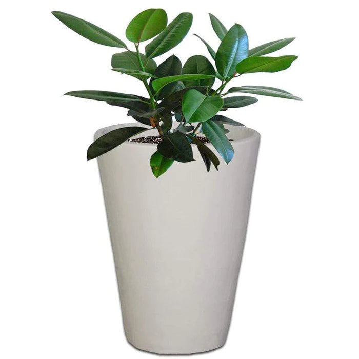 Iris Spring Plant Pot – Gardenvale